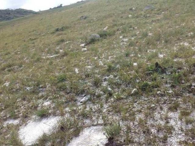 Fazenda para venda em Centro, Santana do Riacho