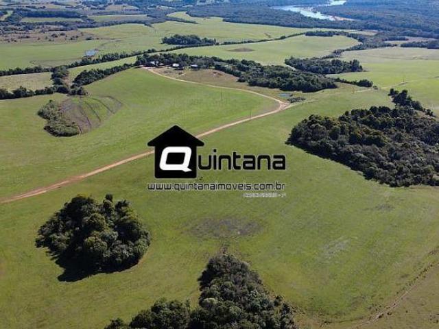 Fazenda para venda em Centro, Santana da Boa Vista