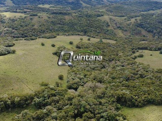 Fazenda para venda em Centro, Santana da Boa Vista