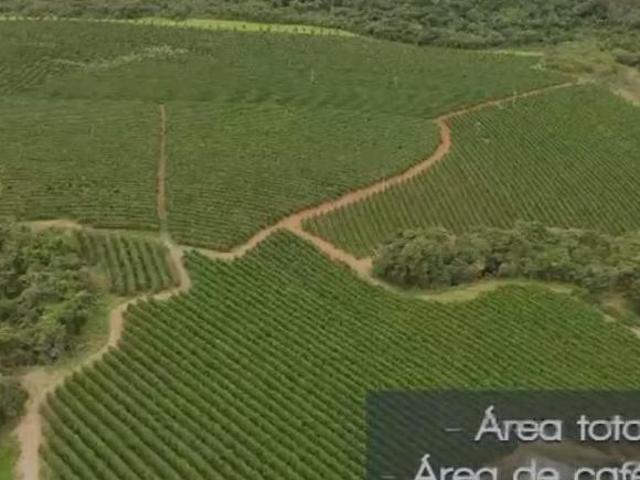 Fazenda para venda em Centro, Santo Antônio do Amparo