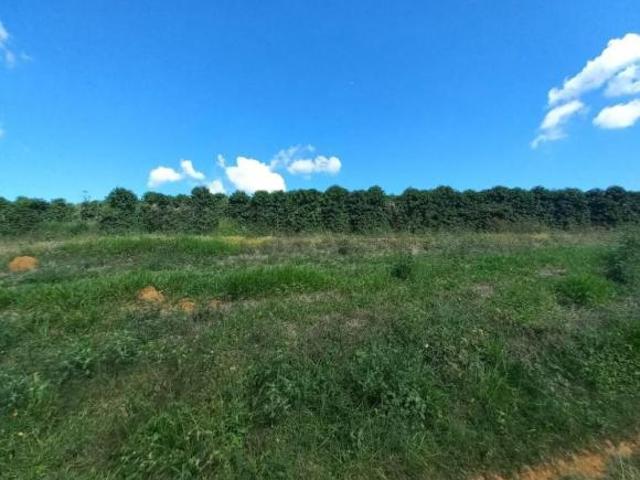 Fazenda para venda em Centro, Santo Antônio do Amparo