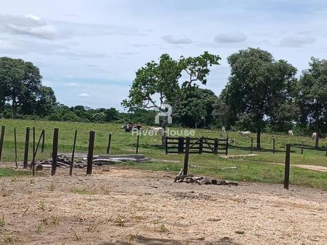 Fazenda para venda em Centro, Santo Antônio do Leverger