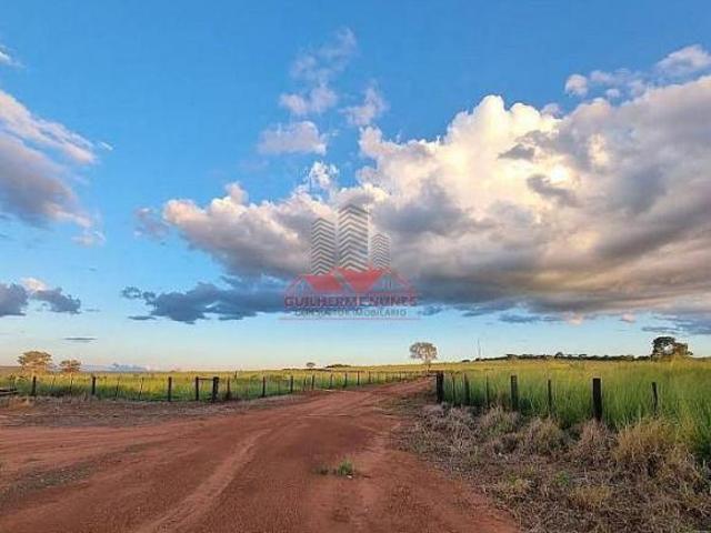 Fazenda para venda em Centro, Santo Antônio do Leste