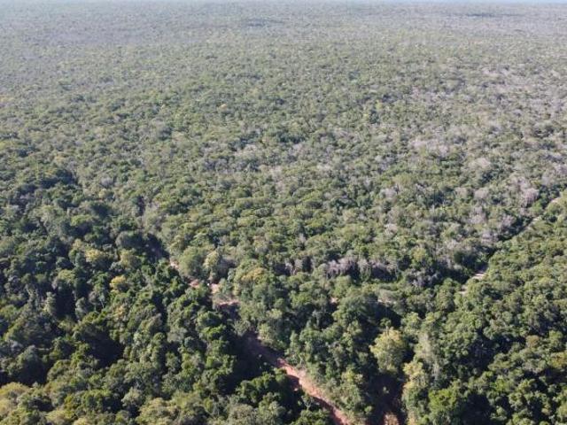 Fazenda para venda em Centro, Sapezal