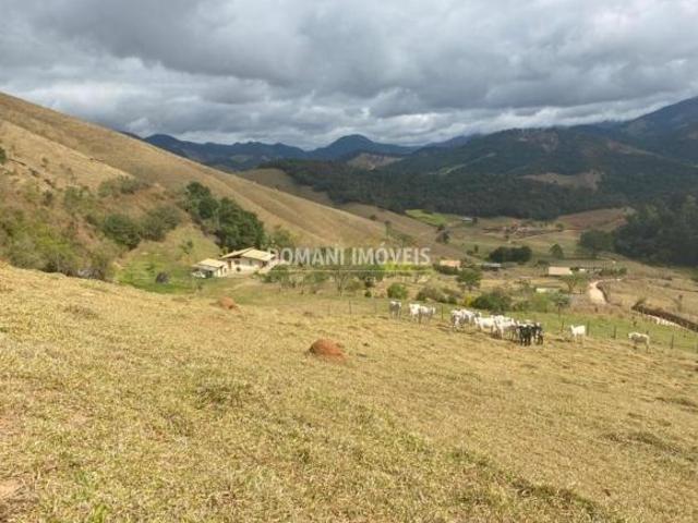 Fazenda para venda em Centro, Sapucaí Mirim