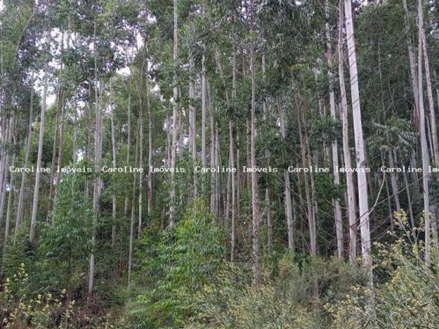Fazenda para venda em Centro, Sentinela do Sul