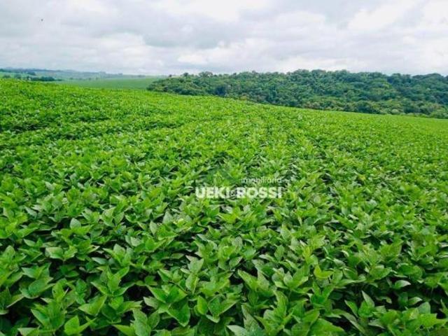 Fazenda para venda em Centro, Sertanópolis