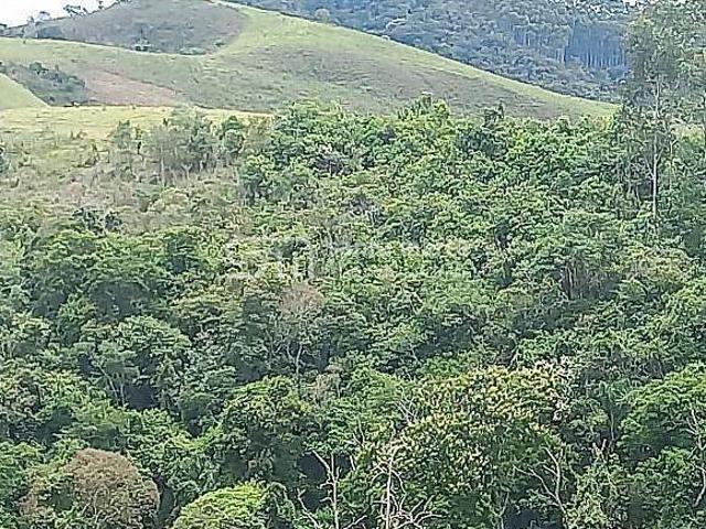 Fazenda para venda em Centro, Silveiras