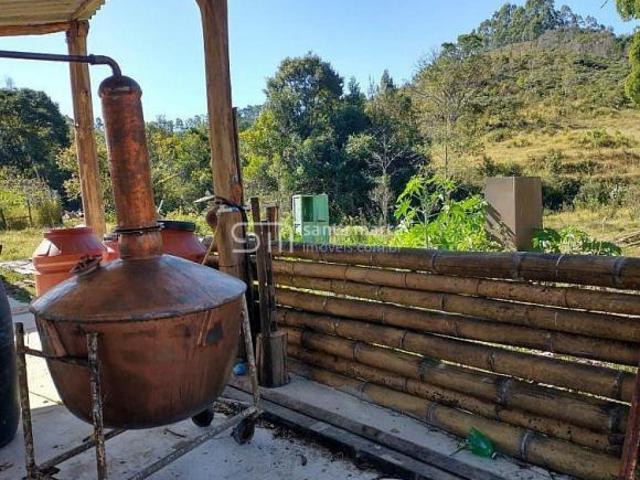 Fazenda para venda em Centro, Silveiras