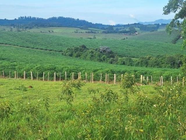 Fazenda para venda em Centro, Silvianópolis