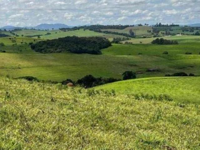 Fazenda para venda em Centro, Silvianópolis