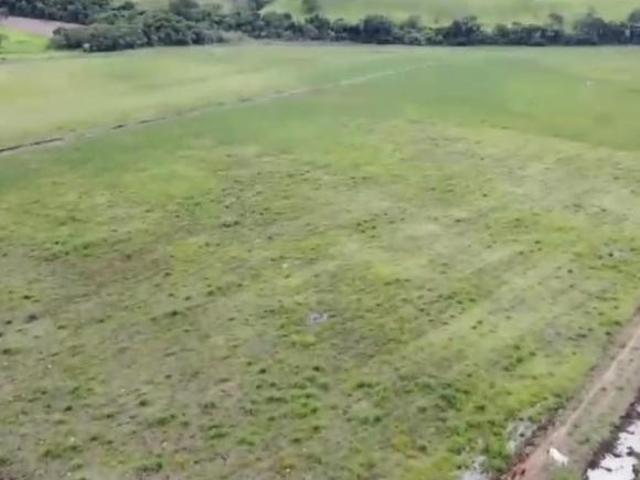 Fazenda para venda em Centro, Turvolândia
