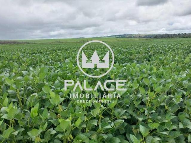 Fazenda para venda em Centro, Tambaú