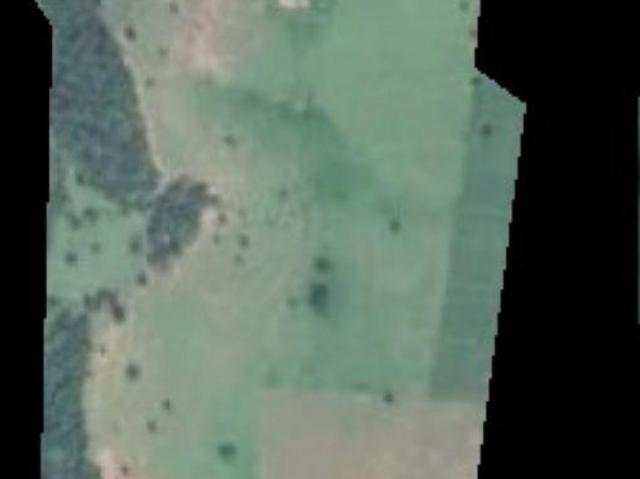 Fazenda para venda em Centro, Tanabi