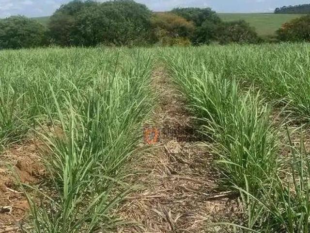 Fazenda para venda em Centro, Tatuí