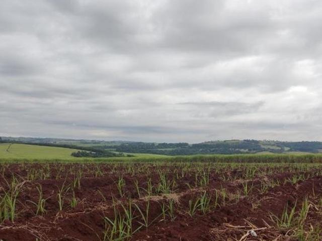Fazenda para venda em Centro, Tatuí