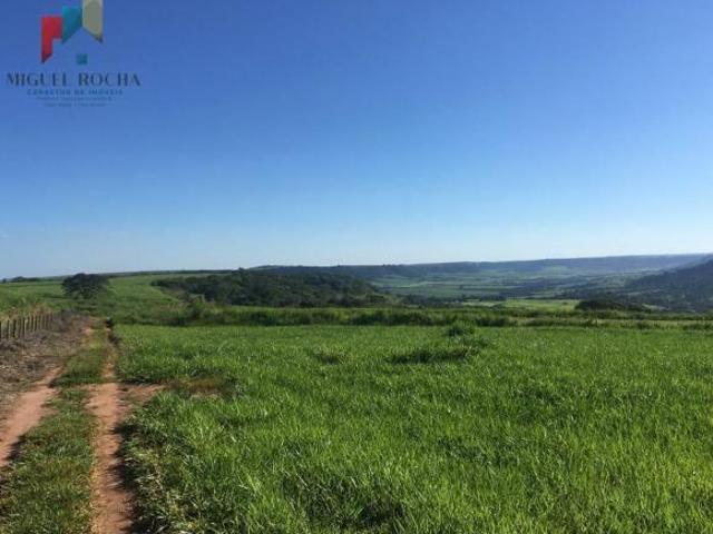 Fazenda para venda em Centro, Tatuí