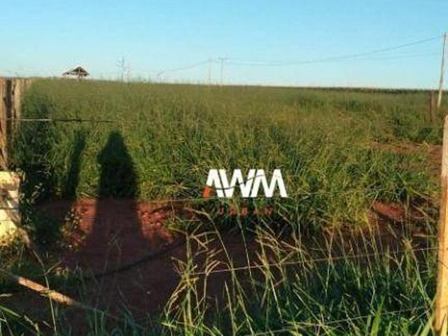 Fazenda para venda em Centro, Tesouro