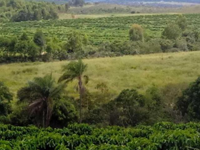 Fazenda para venda em Centro, Tiros
