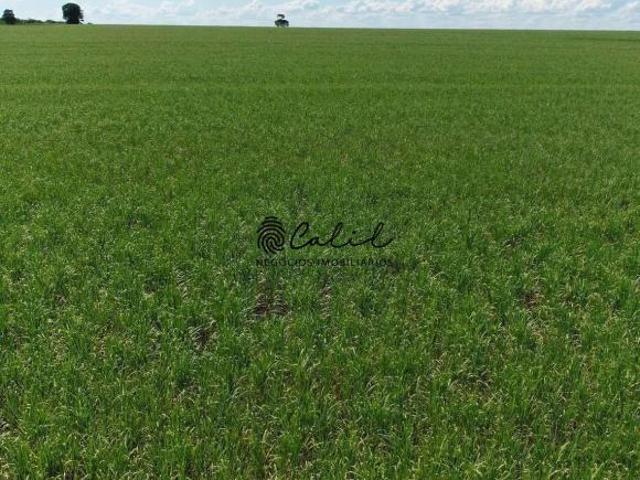 Fazenda para venda em Centro, Torrinha