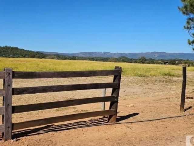 Fazenda para venda em Centro, Uberlândia