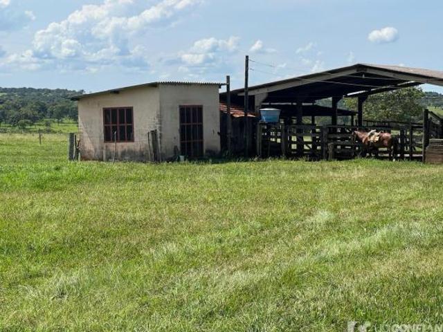 Fazenda para venda em Centro, Uberlândia