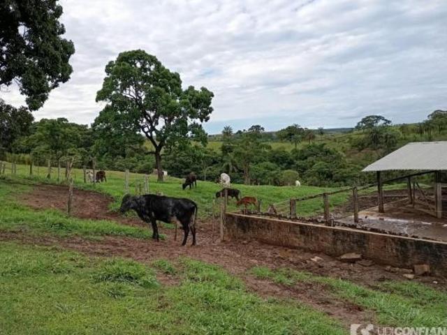 Fazenda para venda em Centro, Uberlândia