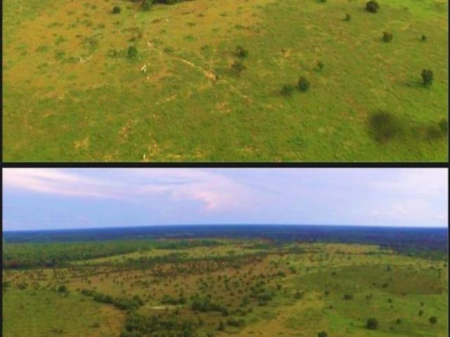 Fazenda para venda em Centro, Uberlândia