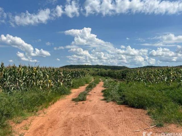 Fazenda para venda em Centro, Uberlândia