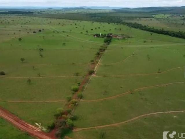 Fazenda para venda em Centro, Unaí