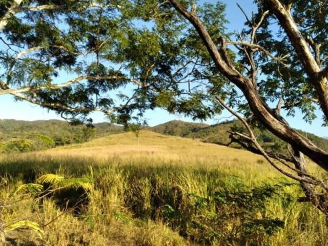 Fazenda para venda em Centro, Unaí