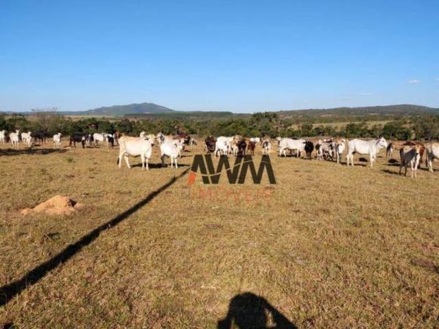 Fazenda para venda em Centro, Uruana