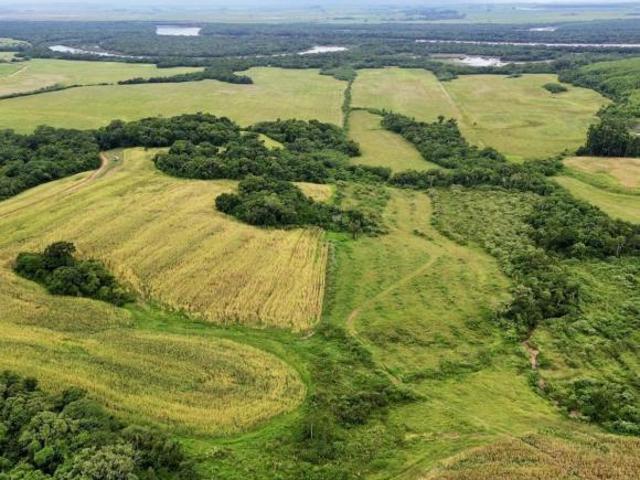 Fazenda para venda em Centro, Vale Verde