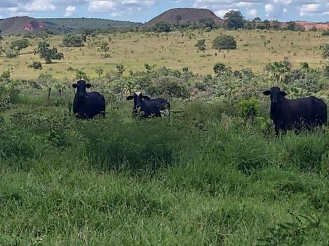 Fazenda para venda em Centro, Varjão de Minas