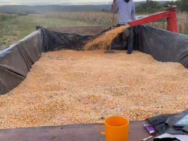 Fazenda para venda em Centro, Várzea da Palma