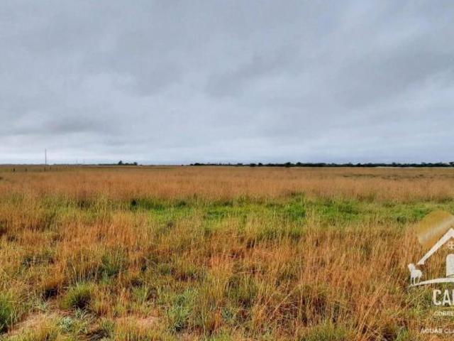 Fazenda para venda em Centro, Viamão