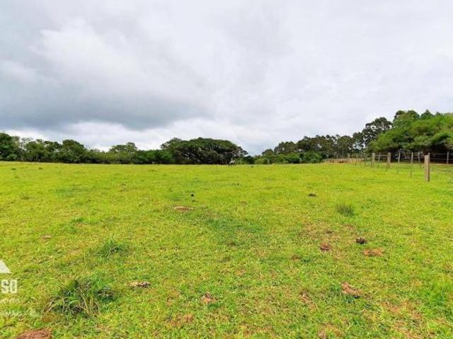 Fazenda para venda em Centro, Viamão