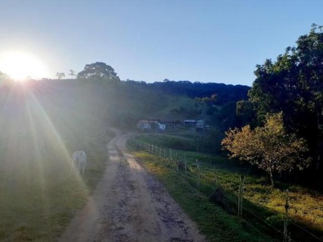 Fazenda para venda em Centro/Santa Rita de Ouro Preto, Ouro