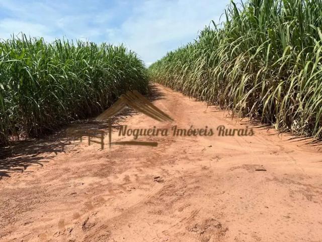 Fazenda para Venda em Cerqueira César/SP Zona Rural
