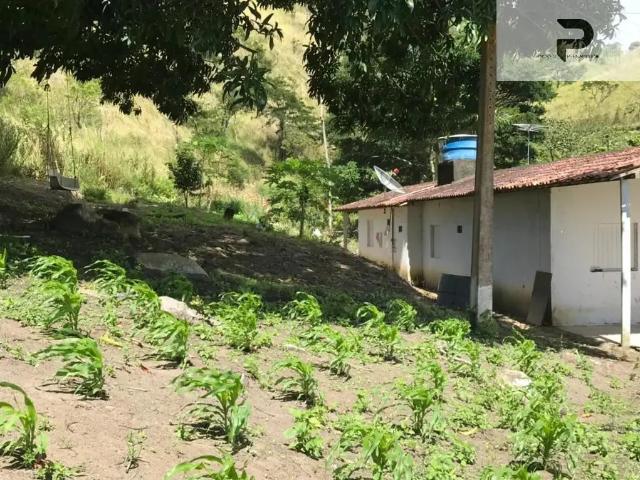 Fazenda para Venda em Chã Grande/PE Zona Rural 1 Quartos