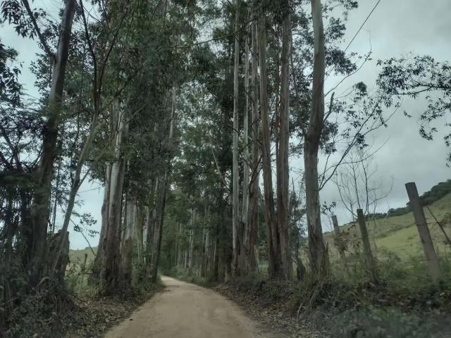 Fazenda para Venda em Chácara/MG Zona Rural 1 Quartos