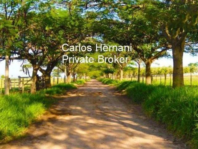 Fazenda para venda em Chácaras Bauruenses, Bauru