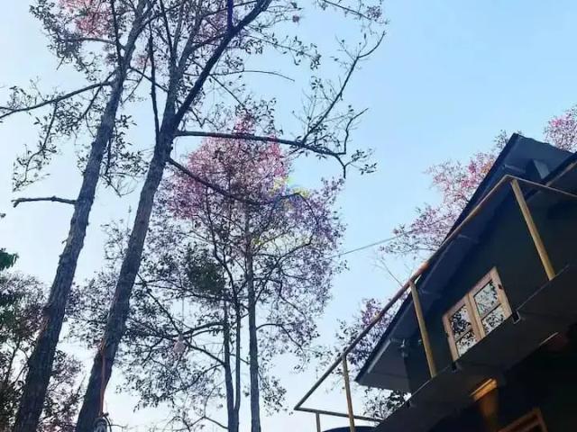 Fazenda para Venda em Chapada dos Guimarães/MT Florada da Serra 2 Quartos
