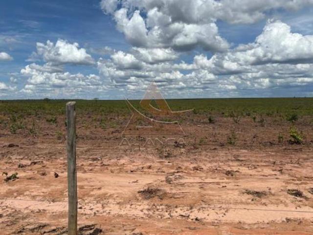 Fazenda para venda em Chapada Gaúcha