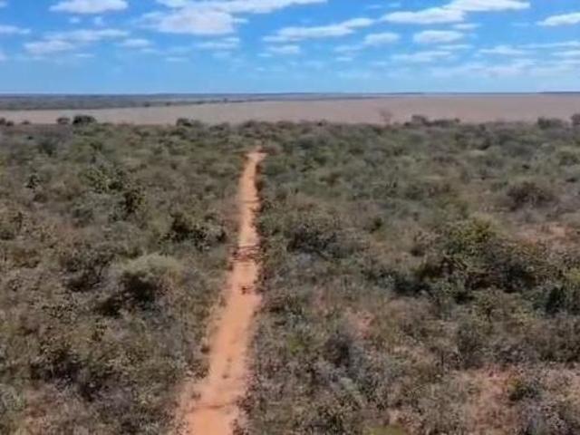 Fazenda para Venda em Chapada Gaúcha, Zona Rural
