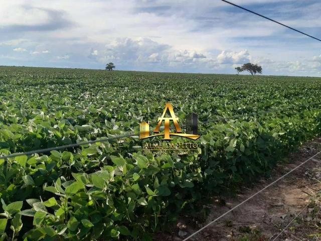 Fazenda para Venda em Chapada Gaúcha/MG Zona Rural 1 Quartos
