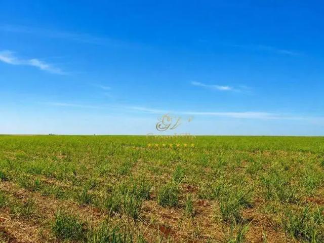 Fazenda para Venda em Cianorte/PR Área Rural de Cianorte 3 Quartos