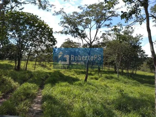 Fazenda para Venda em Claraval/MG Centro 3 Quartos
