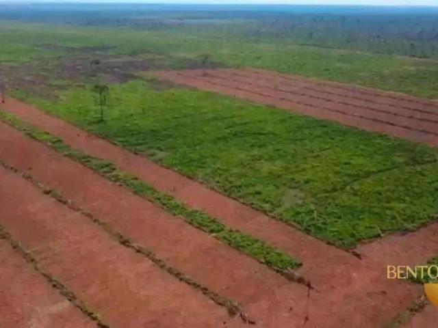 Fazenda para Venda em Cláudia/MT Zona Rural