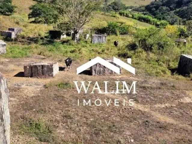 Fazenda para Venda em Cláudio/MG Zona Rural 3 Quartos